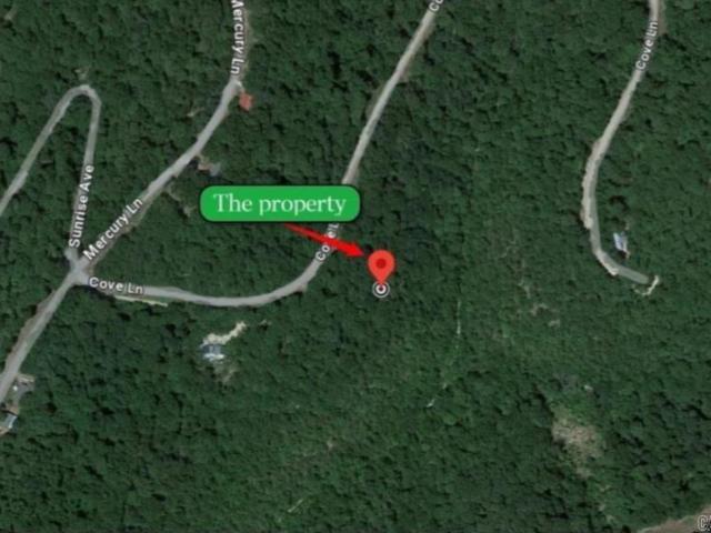 Lot 8 Cove Lane