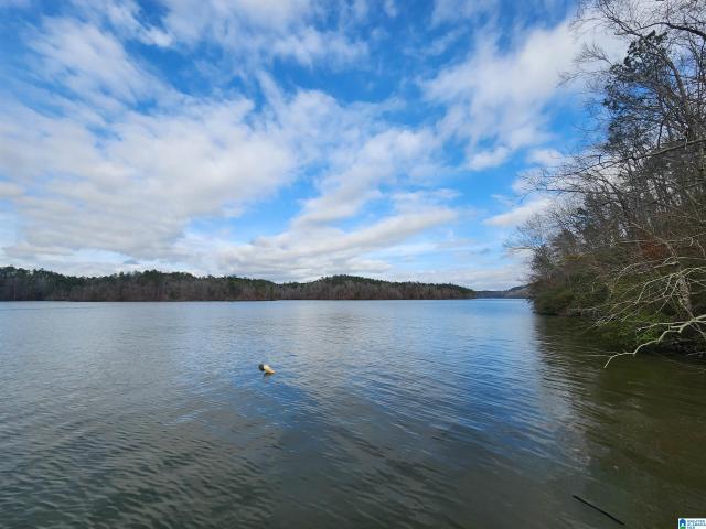 Lot 8 eagle point road # 1