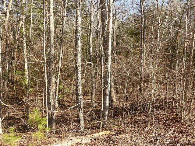 Lot 8 Harbour Point Drive # 8