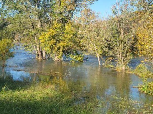 Lot 8 Holston Shores Drive