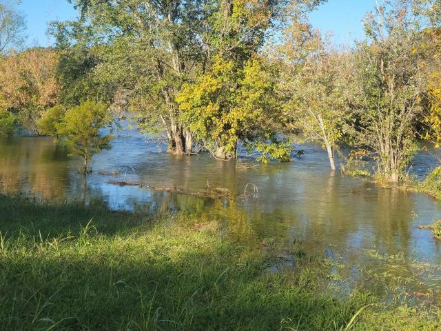 Lot 8 Holston Shores Drive