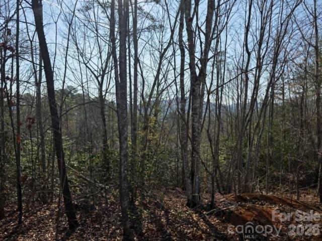 Lot 8 Kerlee Lane