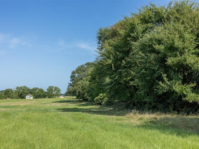 Lot 8 Lcr 822, Groesbeck, TX 76642 | MLS #12829