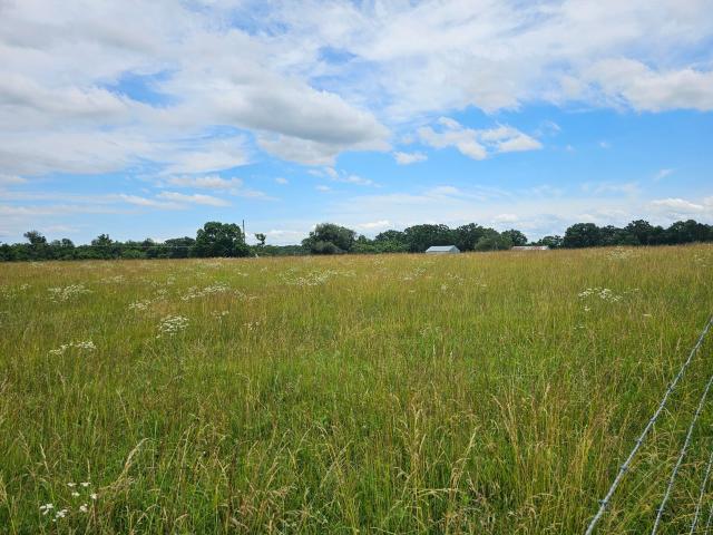 Lot 8 Lightning Bug Lane
