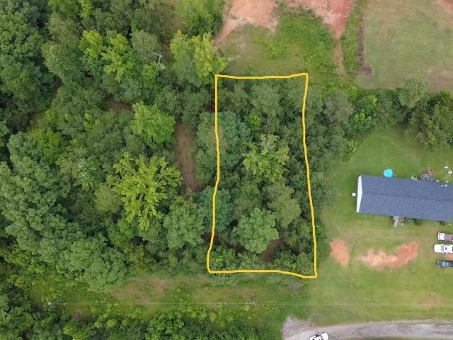 Lot #8 Longleaf Court Lot #8