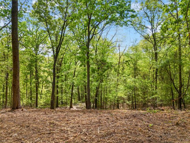 Lot 8 Mcdonald Road