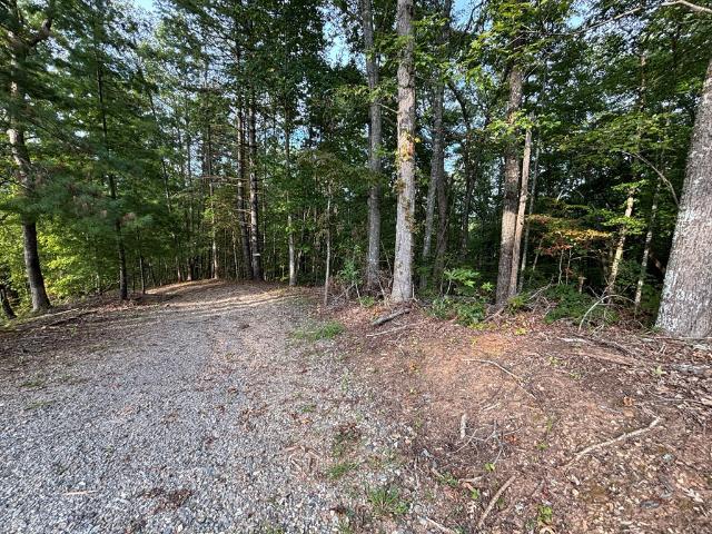 Lot 8 Madison Ln, Robbinsville, NC 28771 | MLS #98543