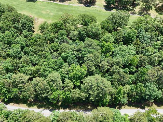 Lot 8 Mountain Ranch Drive