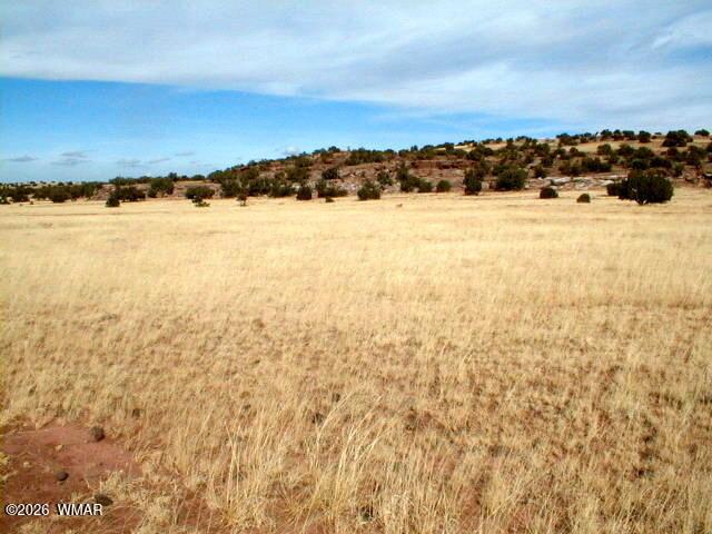 Lot 8 N8526