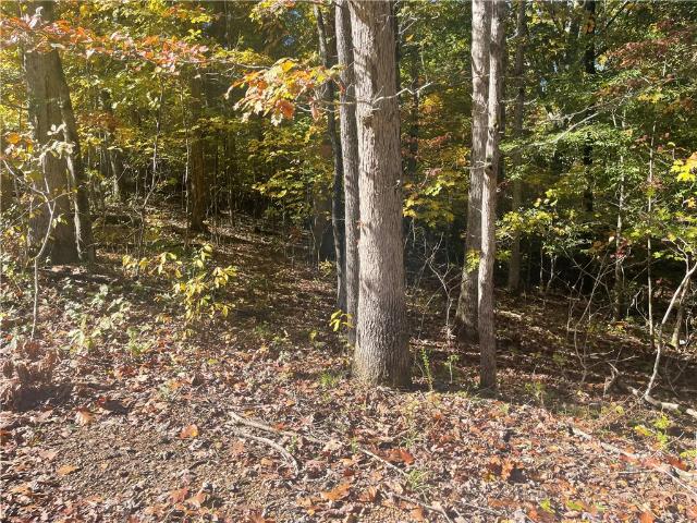 Lot 8 Oxenholme Lane