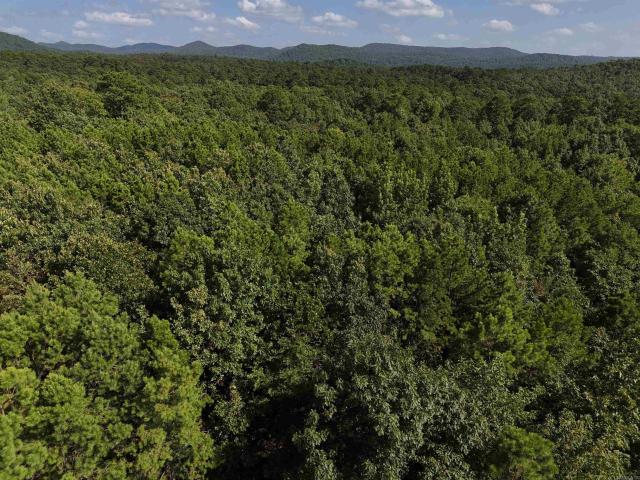 Lot 8 Polk Road 78