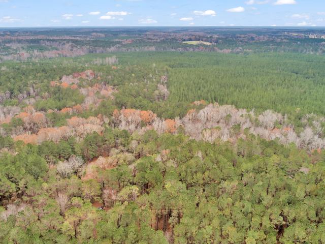 Lot 8 Saggus Rd, Washington, GA 30673 | MLS #98211