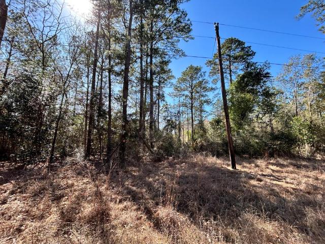 Lot 8 Sir Ewaine Drive