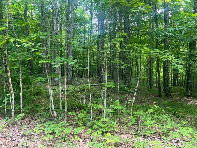 Lot 8 Smoky Lake Drive