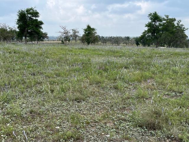 Lot 8 Sweet Wind Ln, Unit 8, Harper, TX 78631 | MLS #104093