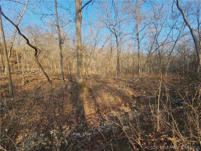 Lot 8 State J Road