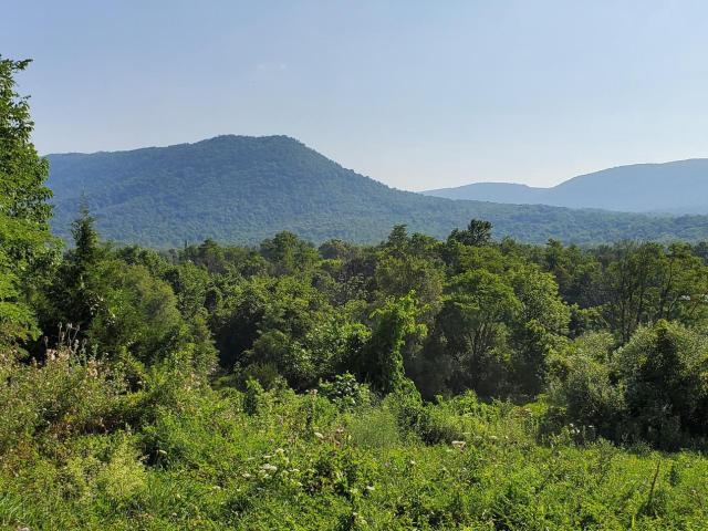Lot 8 Sunrise Ln, Fort Loudon, PA 17224 | MLS #PAFL167688 | Compass