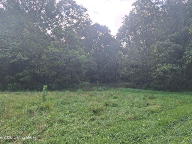 Lot 8A Rebel Ridge Rd
