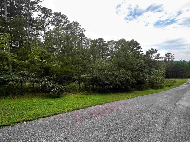 Lot 90 Cobalt Bay Drive