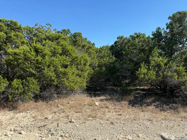 Lot 90 Deer Creek, Spring Branch, TX 78070 | MLS #1955
