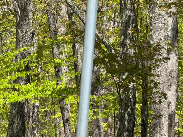 Lot # 90 Forest Ridge Drive