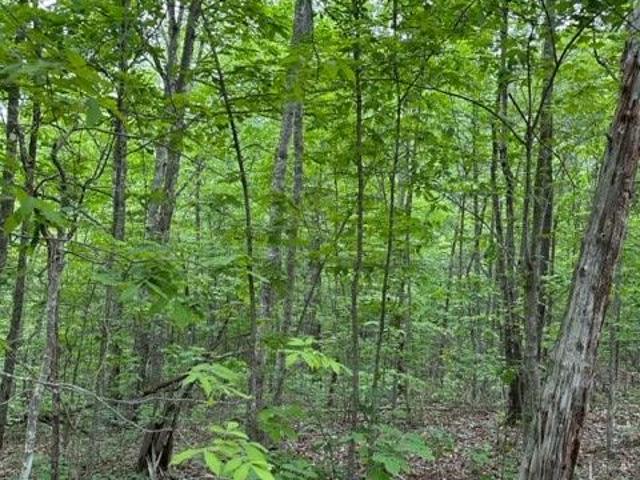 Lot 91 Buckeye Lane