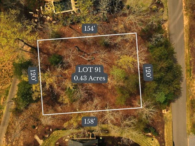 Lot 91 Fallen Leaf Rd, Mineral Bluff, GA 30559 | MLS #429554