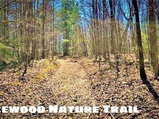 Lot 91 Lakewood Subdivision