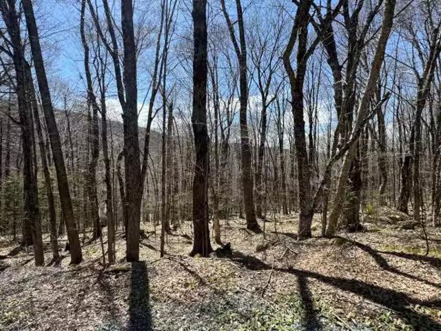 Lot 92 Aplendorf, Readsboro, VT 05350 MLS 246204