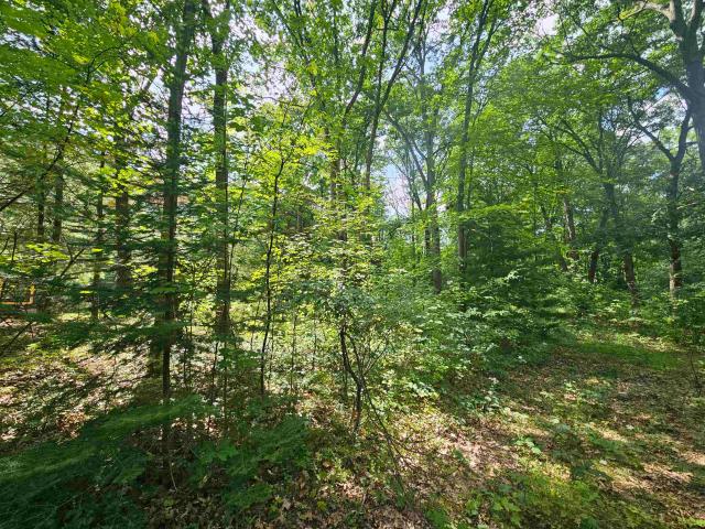 Lot 92 Valley View Drive