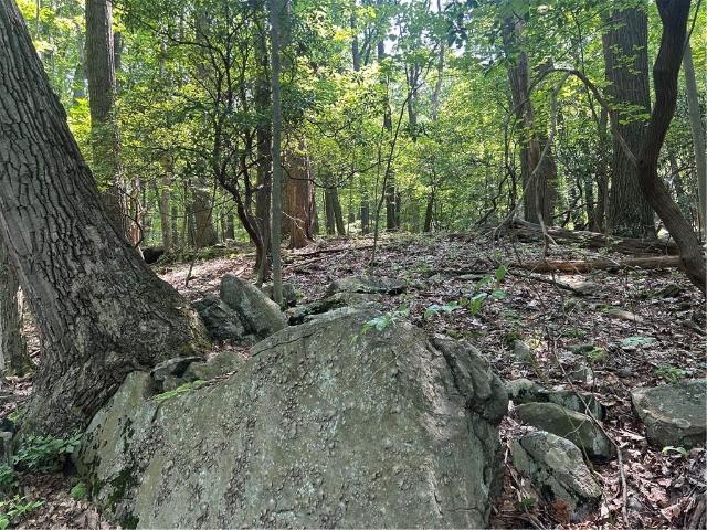 Lot 934 Ski Slope Rd, Acme, PA 15610 | MLS #1711