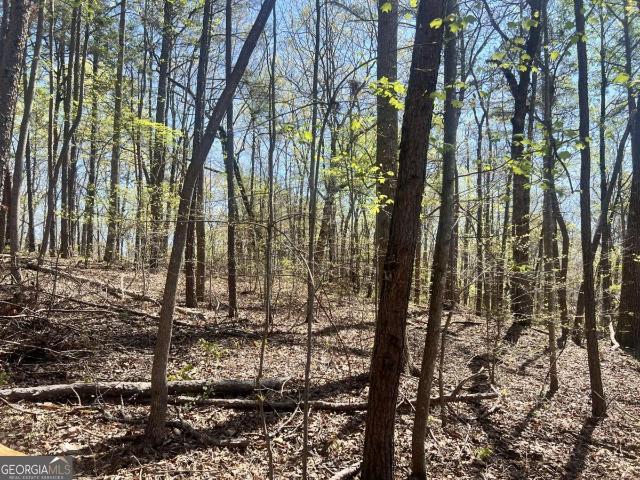 LOT 93 Doll Mountain Road