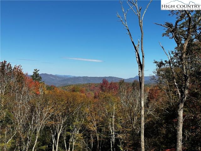 Lot 94 Eagles Nest Trail