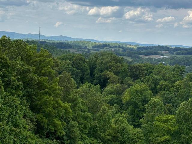 Lot 94 Flagstone Loop, New Tazewell, TN 37825