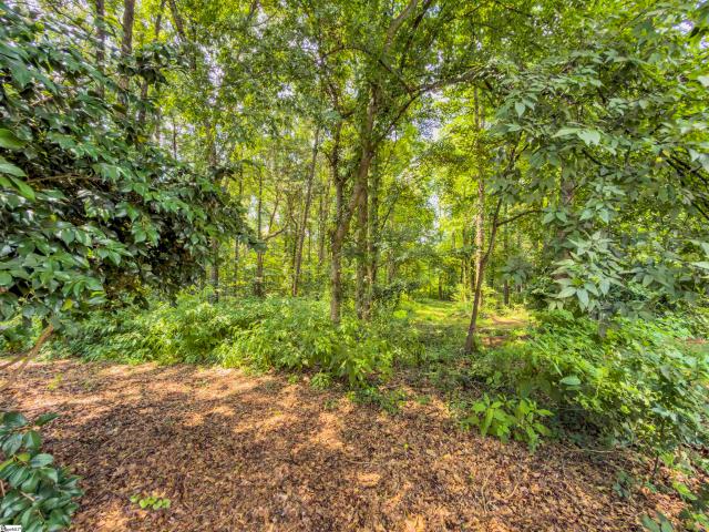 Lot 94 Peters Creek Court