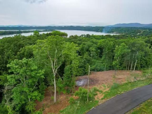 Lot 94 Waterside Cove Drive, Dandridge, TN 37725 644450872