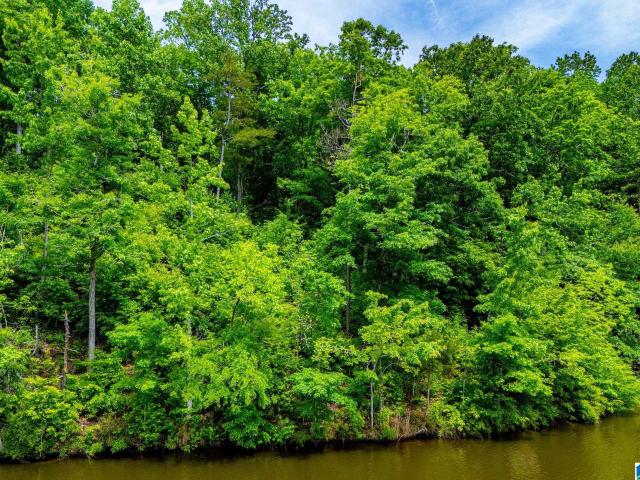 Lot 94 Wright Way Drive # 94
