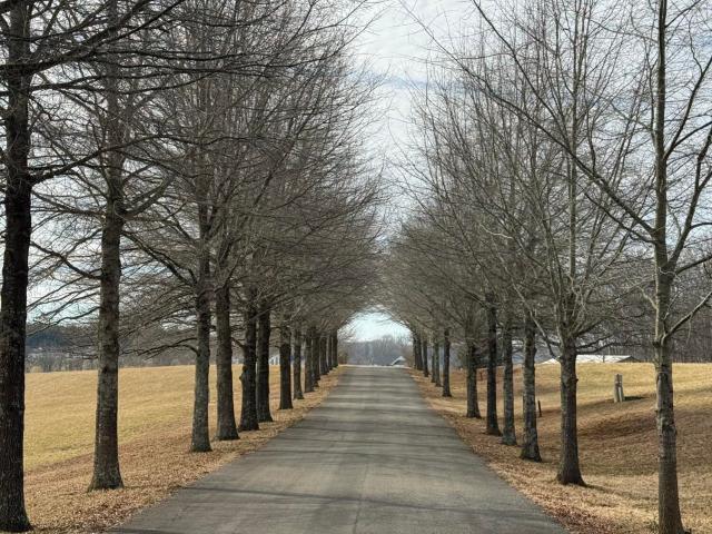 Lot 95 Lakeshore Drive