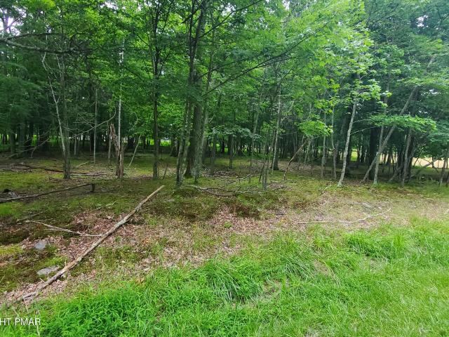 Lot 95 Pine Ridge Dr W