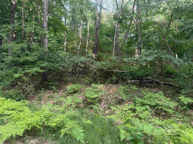 Lot 968 Cherry Road