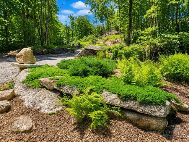 Lot #96 Eagles Nest Trail