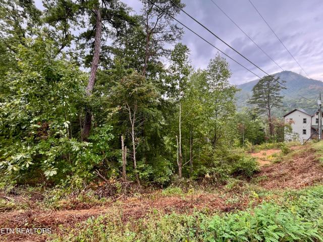 Lot 97 Bluff Ridge Rd, Sevierville, TN 37876 | MLS #1316