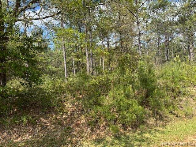 Lot 97 Harbor Road