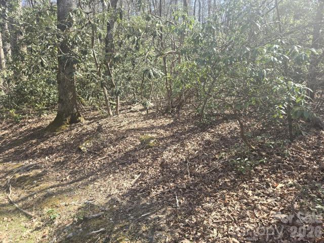 Lot 97 Mockingbird Lane