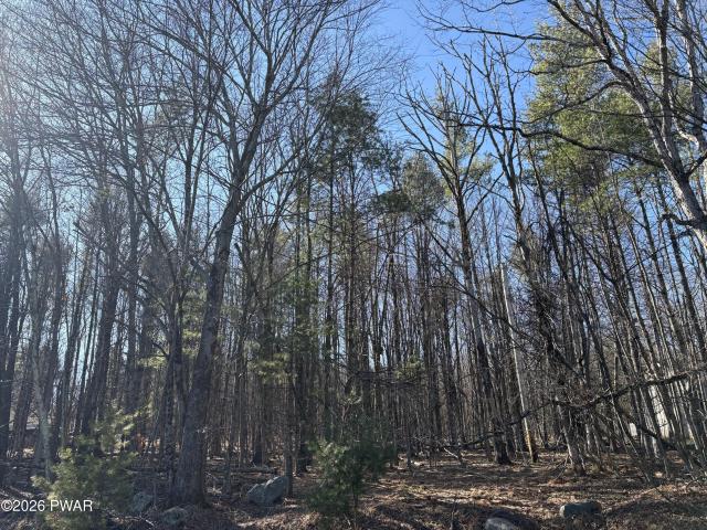 Lot 983 Winterberry Drive