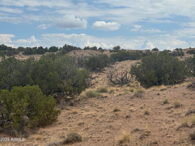 Lot 99 Carrizo Ranch, Unit 99, St. Johns, AZ 85936 | MLS #6910
