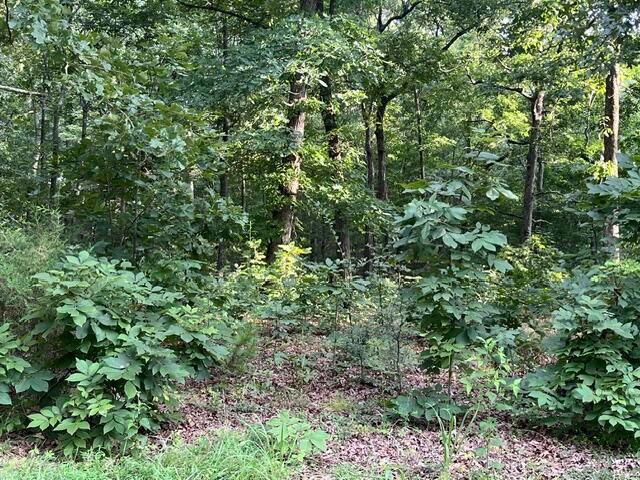 Lot 99 Woodduck Lane
