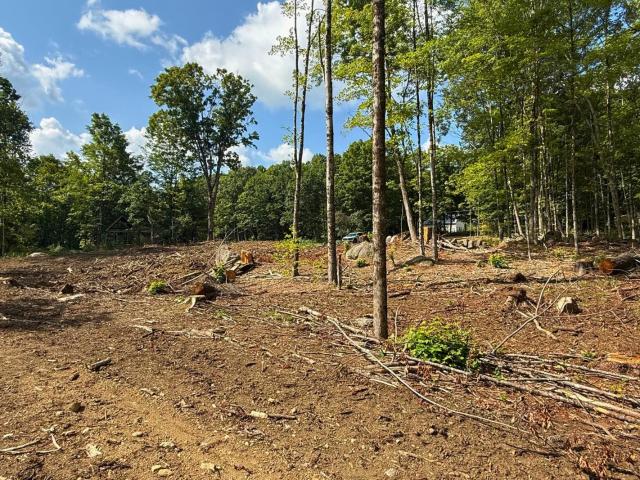 Lot 9 1 Roxbury Road