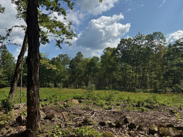 Lot 9 3 Roxbury Road