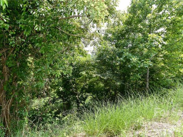 Lot 9 The Vines Blvd, Unit LOT 9, Marshall, NC 28753 | MLS #3767